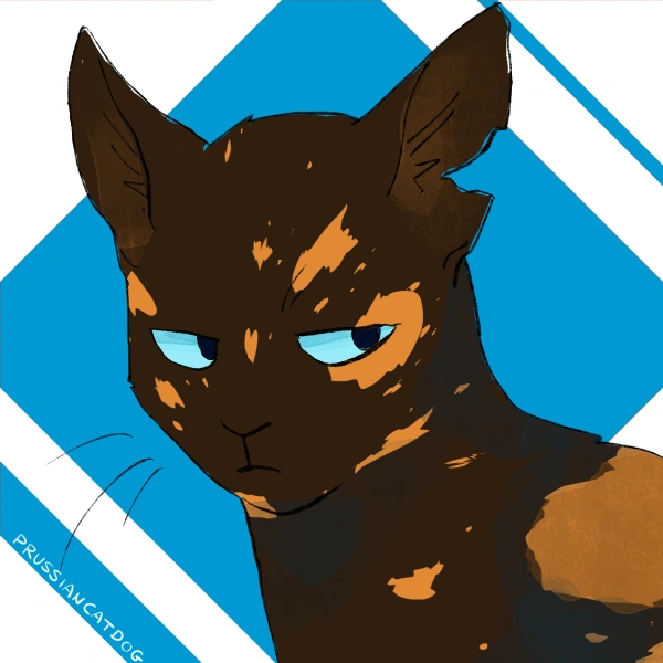 Shellsong (IFs) | Warrior Cats Fandom Wiki | Fandom