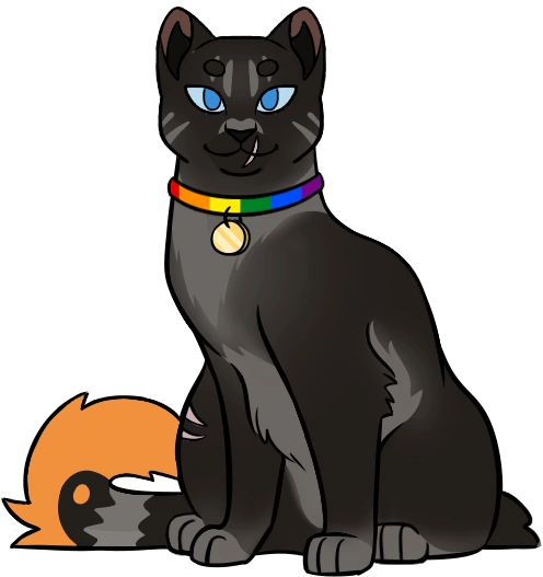Beechhail (FFs) | Warrior Cats Fandom Wiki | Fandom