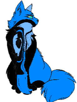 Stormflight -she- | Warrior Cats Fandom Wiki | Fandom