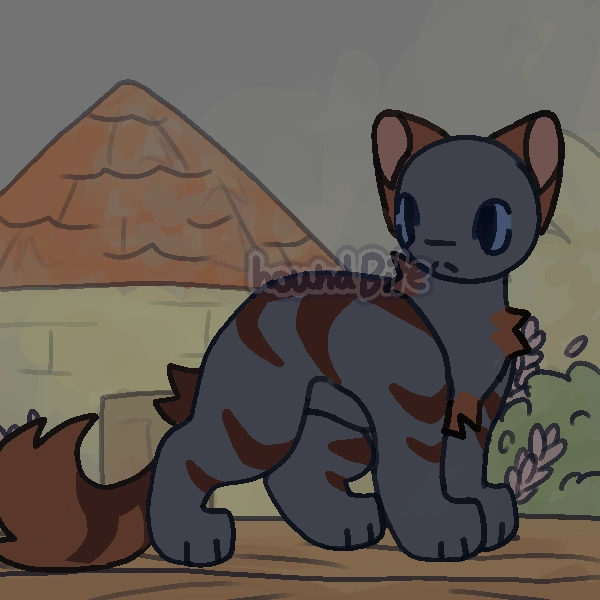 Leni (Ro) | Warrior Cats Fandom Wiki | Fandom
