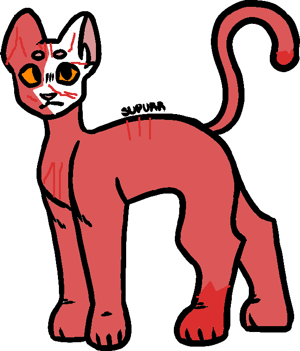 Halfalder (FSFM) | Warrior Cats Fandom Wiki | Fandom