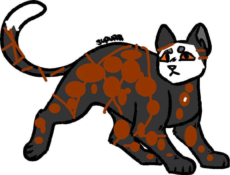 Feistycreek (STxR) | Warrior Cats Fandom Wiki | Fandom