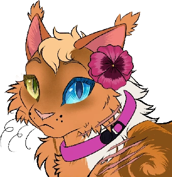 Kestrelstripe (OHMC) | Warrior Cats Fandom Wiki | Fandom