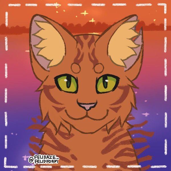 Firestorm | Warrior Cats Fandom Wiki | Fandom
