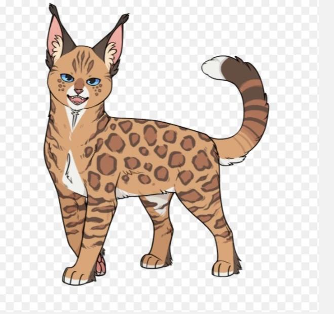 Briarwood(CXS) | Warrior Cats Fandom Wiki | Fandom