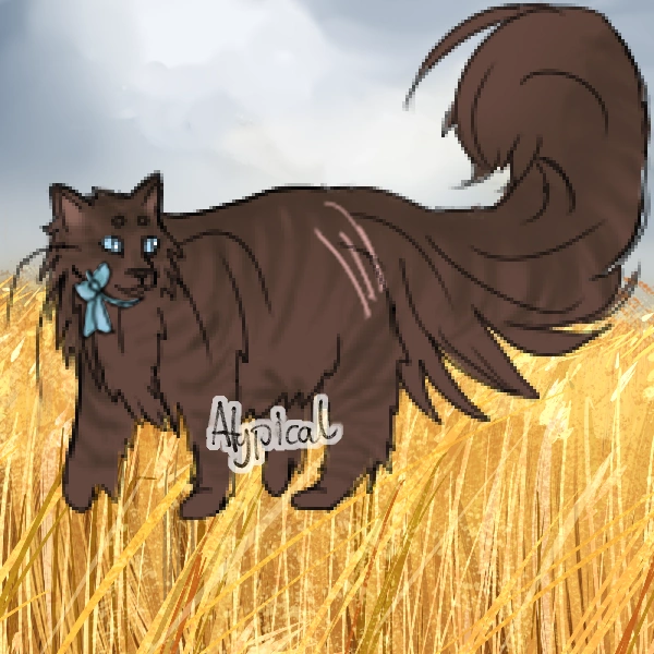 Fluffysight (SFxRN) | Warrior Cats Fandom Wiki | Fandom