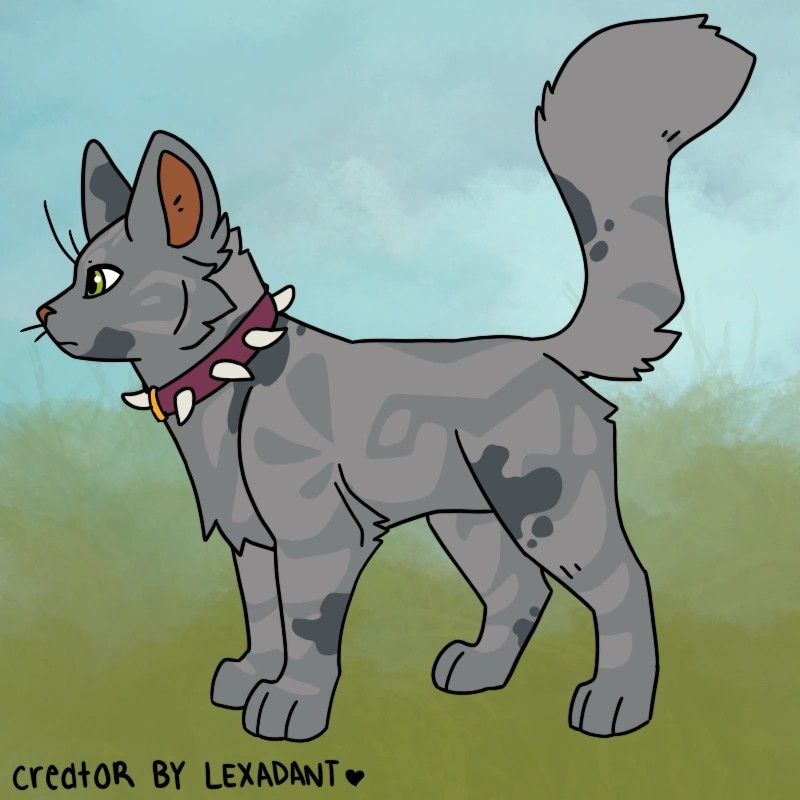Cricket (RAkp) | Warrior Cats Fandom Wiki | Fandom
