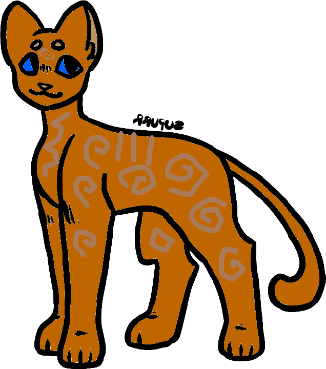Swirlpelt (RPF) | Warrior Cats Fandom Wiki | Fandom