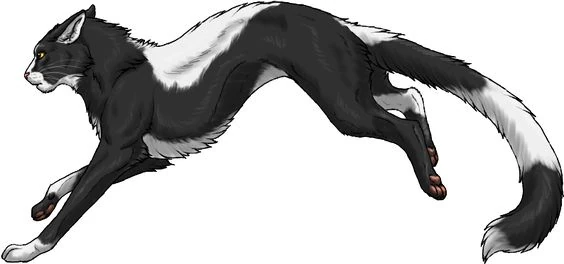 Lightfoot | Warrior Cats Fandom Wiki | Fandom