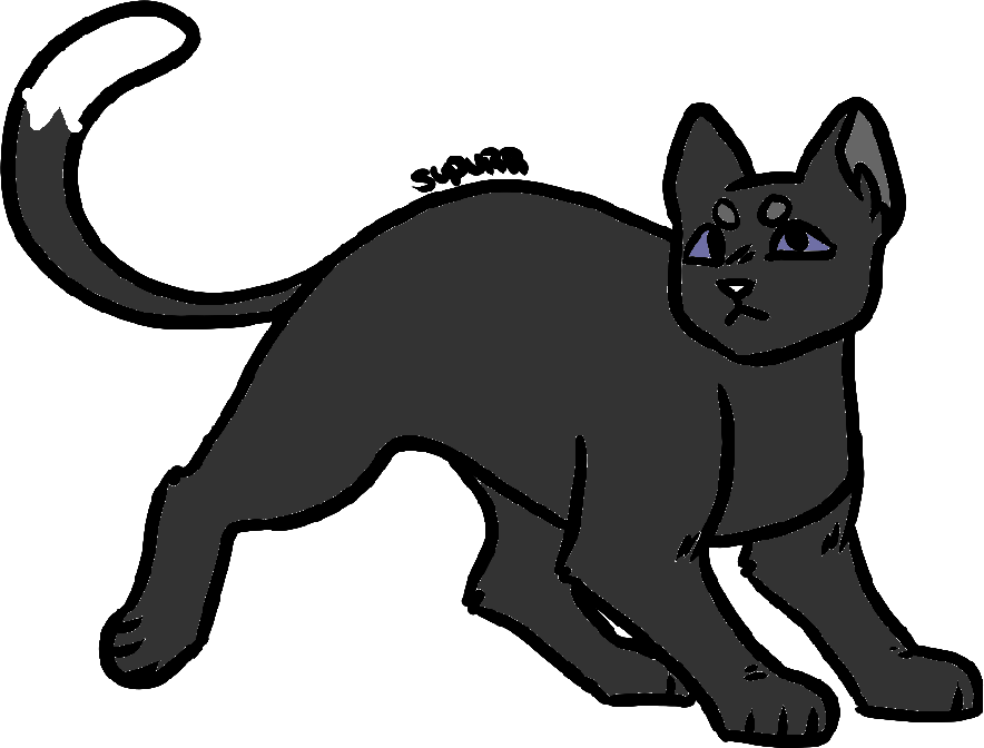 ShadeNight (MLP) | Warrior Cats Fandom Wiki | Fandom