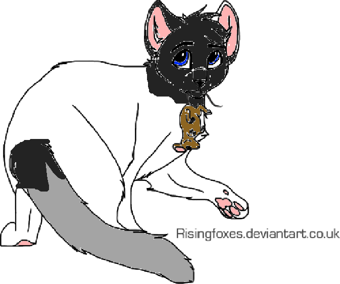 Shorttail (RCxWL) | Warrior Cats Fandom Wiki | Fandom