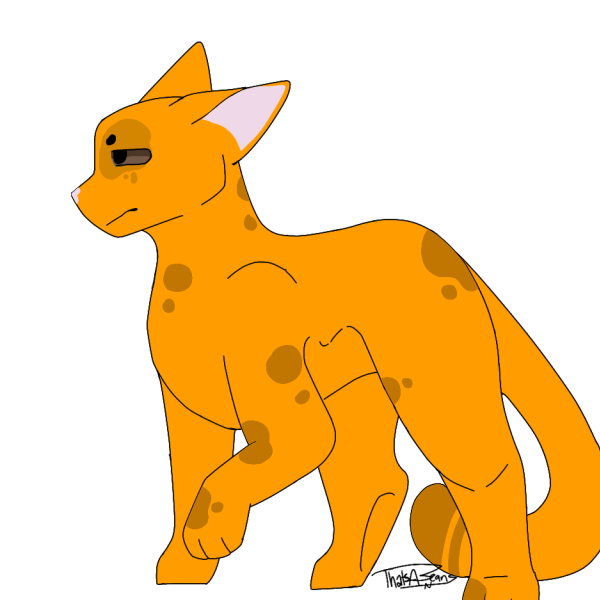 Thunderbeam (NCL) | Warrior Cats Fandom Wiki | Fandom