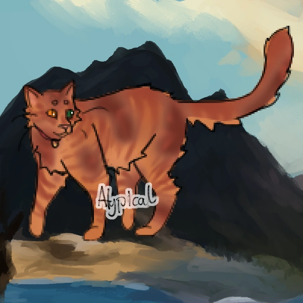 Foresteye (PxR) | Warrior Cats Fandom Wiki | Fandom