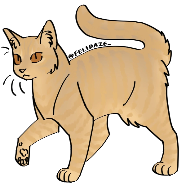 Sandwillow (FBf) | Warrior Cats Fandom Wiki | Fandom