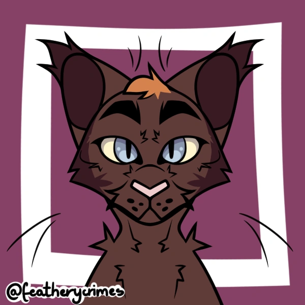 Duskstrike (SFB) | Warrior Cats Fandom Wiki | Fandom