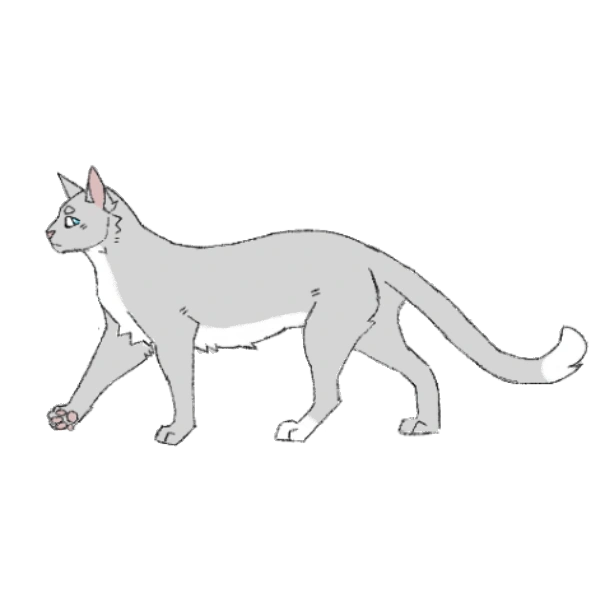 Shiverfeather(NASP) | Warrior Cats Fandom Wiki | Fandom