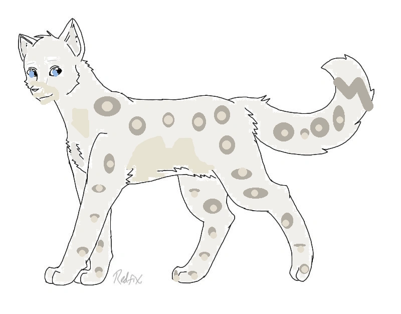 Pearlfrost (DSxBF) | Warrior Cats Fandom Wiki | Fandom
