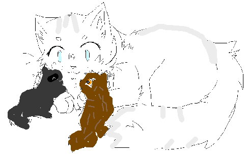 Fangshimmer(CXS) | Warrior Cats Fandom Wiki | Fandom