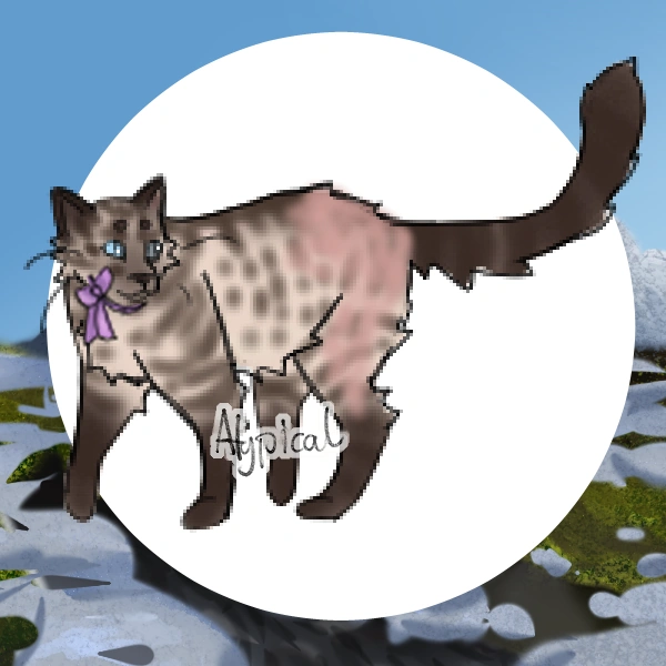 Blazestripe (Fkp) | Warrior Cats Fandom Wiki | Fandom
