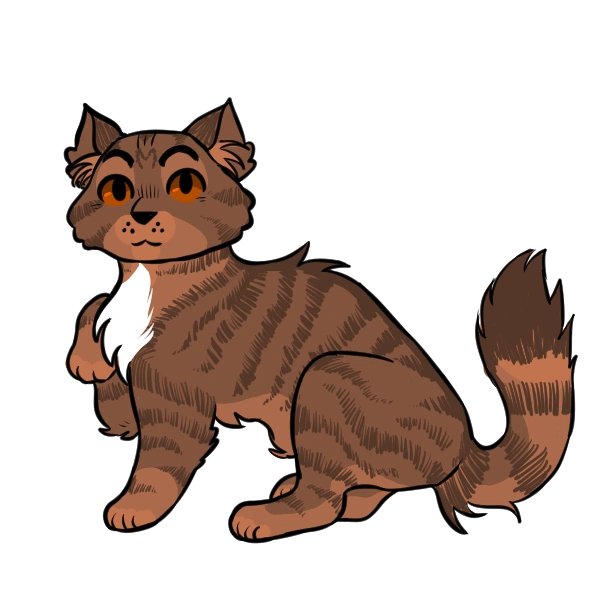 Owldusk (FBxWC) | Warrior Cats Fandom Wiki | Fandom