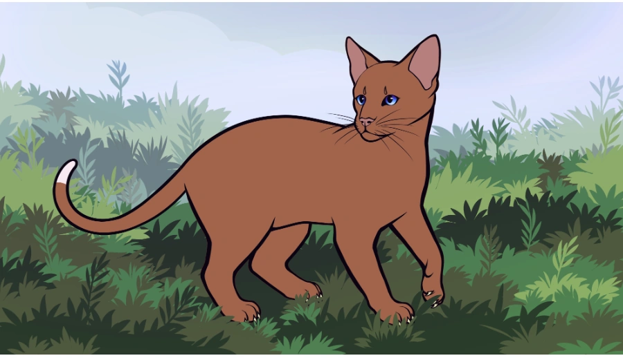 Russetclaw (THCQ) | Warrior Cats Fandom Wiki | Fandom