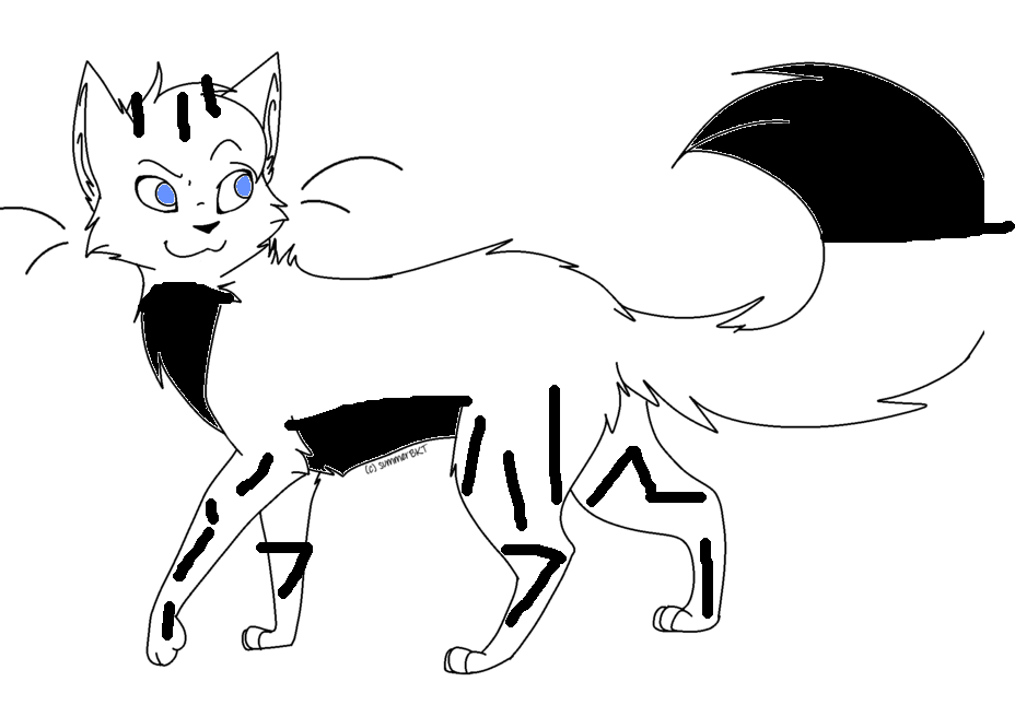 Desertpatch *storyoc* | Warrior Cats Fandom Wiki | Fandom