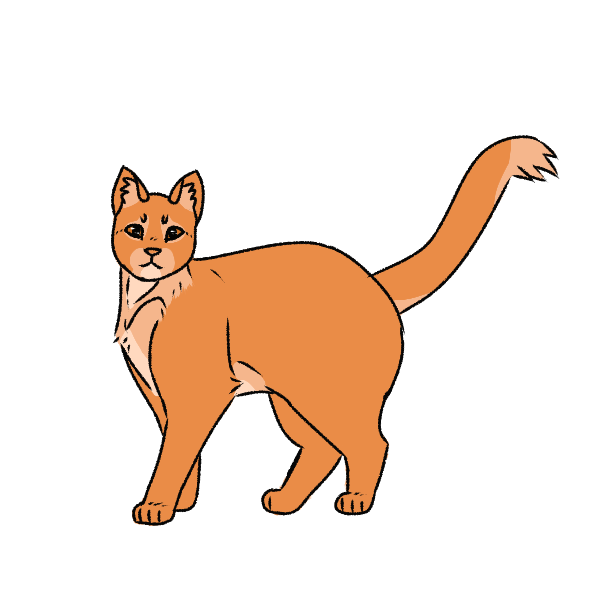 Sunflame (BSxSS) | Warrior Cats Fandom Wiki | Fandom