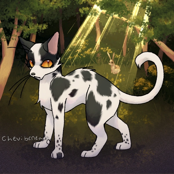 Shinepuddle (ESxAC) | Warrior Cats Fandom Wiki | Fandom