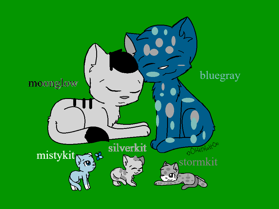 Moonglow | Warrior Cats Fandom Wiki | Fandom