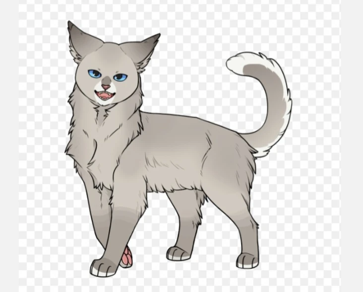 Swimmingpetal(CXS) | Warrior Cats Fandom Wiki | Fandom