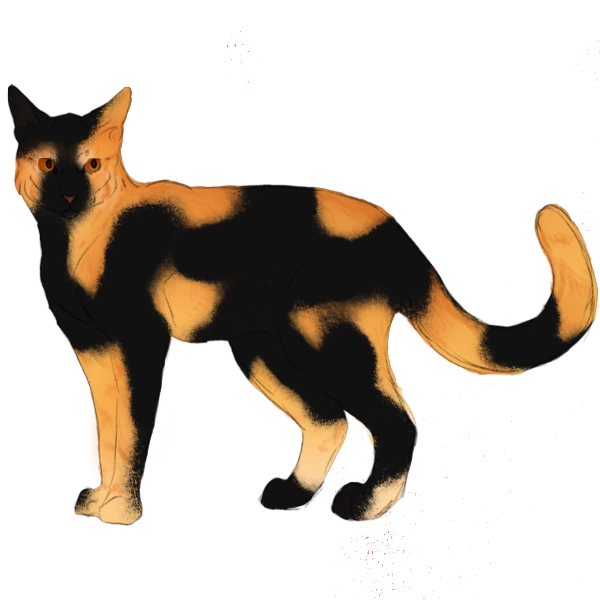 Eelpetal (BSd) | Warrior Cats Fandom Wiki | Fandom