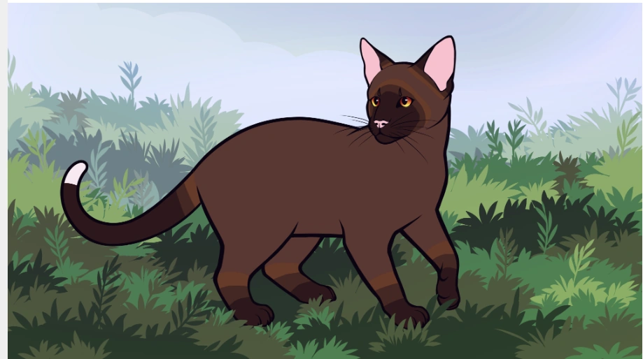 Tawnystar (LaAS) | Warrior Cats Fandom Wiki | Fandom