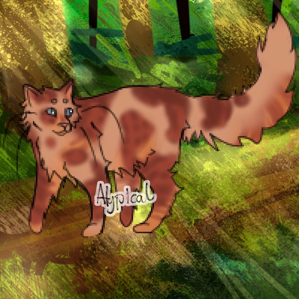 DawnPatch (PxR) | Warrior Cats Fandom Wiki | Fandom