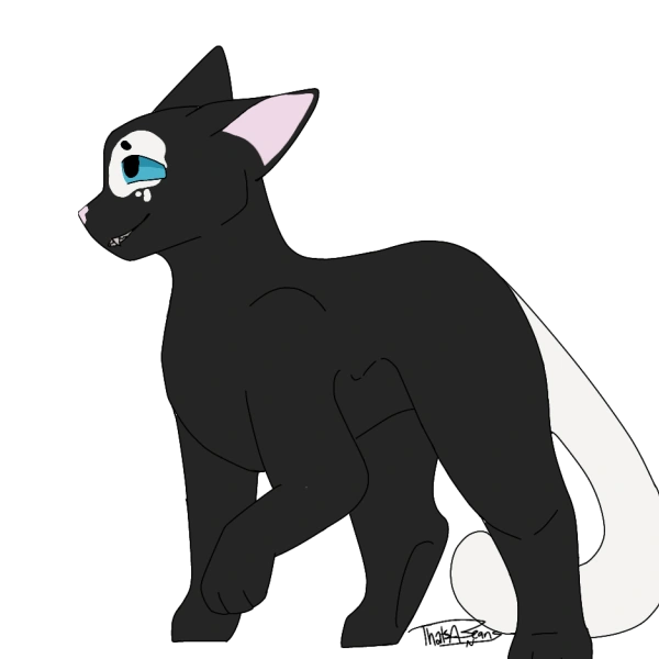 Darkblaze (CB) | Warrior Cats Fandom Wiki | Fandom