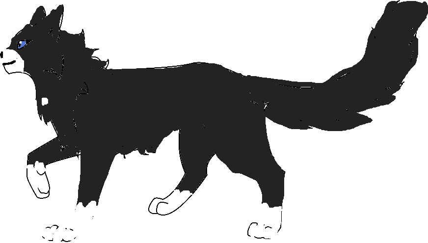 Eclipsestar (SOE) | Warrior Cats Fandom Wiki | Fandom