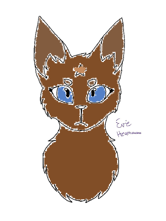 SpruceStar (PC) | Warrior Cats Fandom Wiki | Fandom