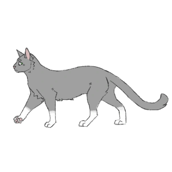Stormysky (FSs) | Warrior Cats Fandom Wiki | Fandom