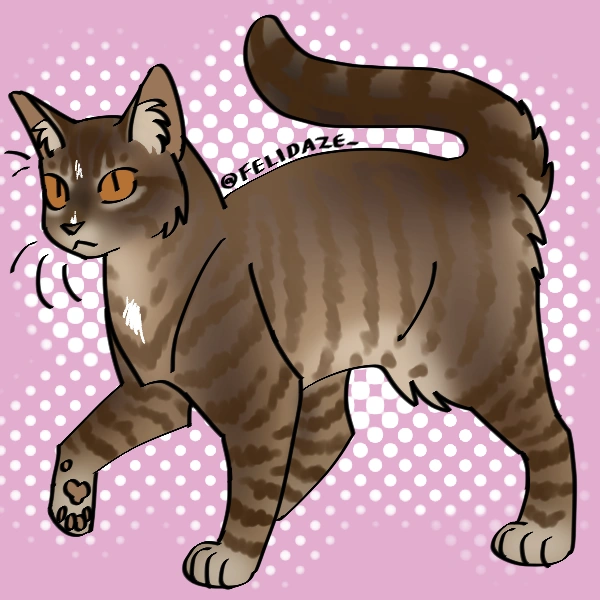 Morningsage (FBf) | Warrior Cats Fandom Wiki | Fandom