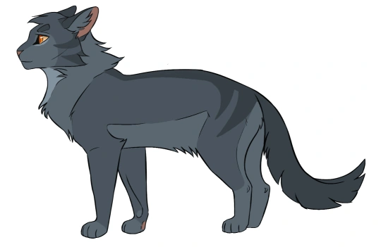 Wishpelt/stonecloud | Warrior Cats Fandom Wiki | Fandom