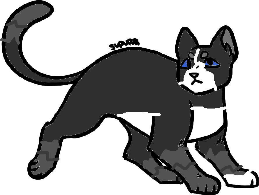 Blueeyes (BKWCC) | Warrior Cats Fandom Wiki | Fandom
