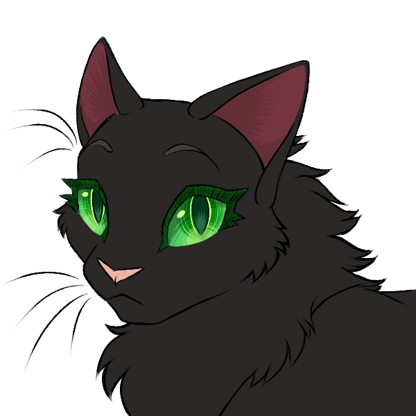 Cinderwind (SW) | Warrior Cats Fandom Wiki | Fandom