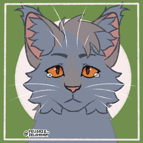 Stormstone (CSM) | Warrior Cats Fandom Wiki | Fandom