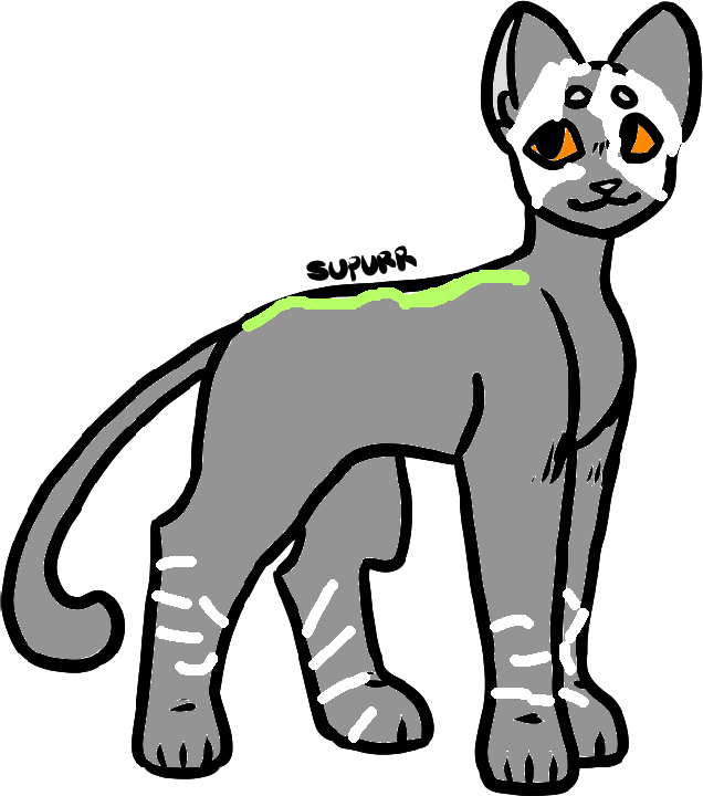 Stormmoss (SPM) | Warrior Cats Fandom Wiki | Fandom