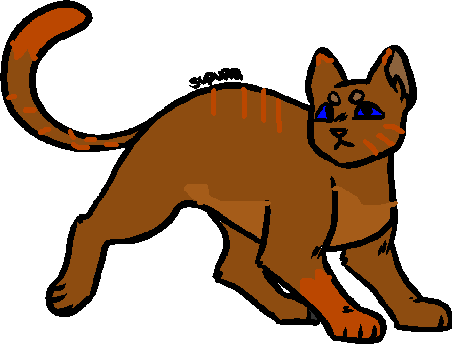 Timberwind (NSN) | Warrior Cats Fandom Wiki | Fandom