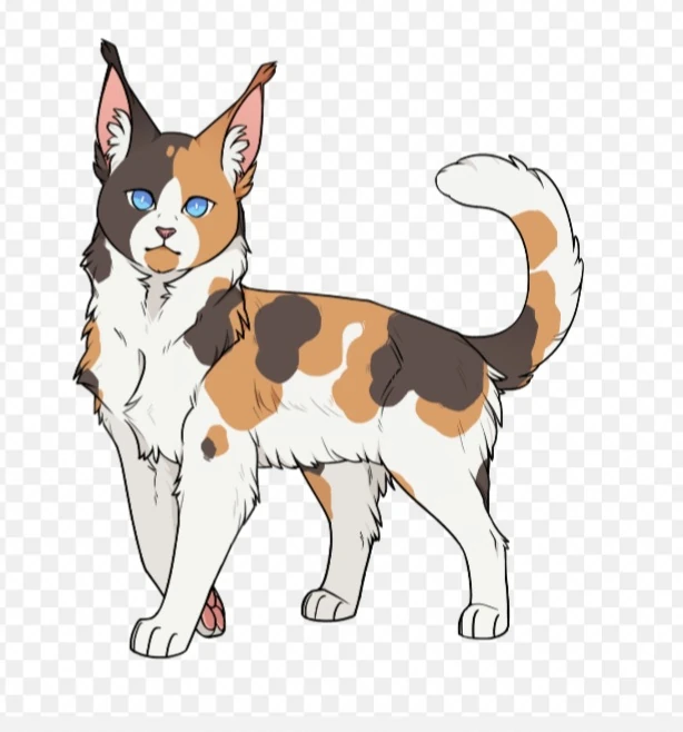 Kestrelsage(CXS) | Warrior Cats Fandom Wiki | Fandom