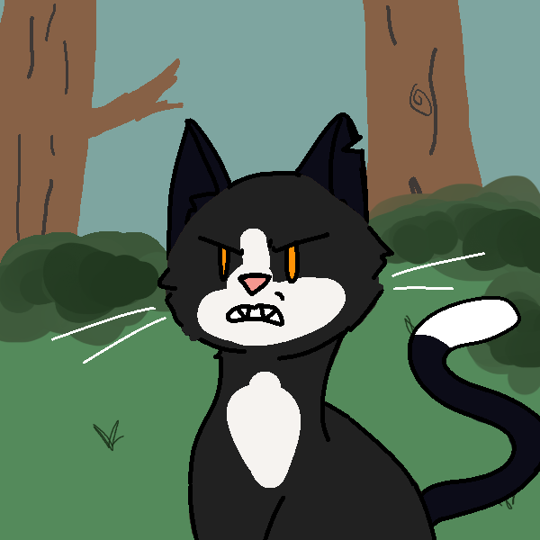 DarkLake (FOWAS) | Warrior Cats Fandom Wiki | Fandom