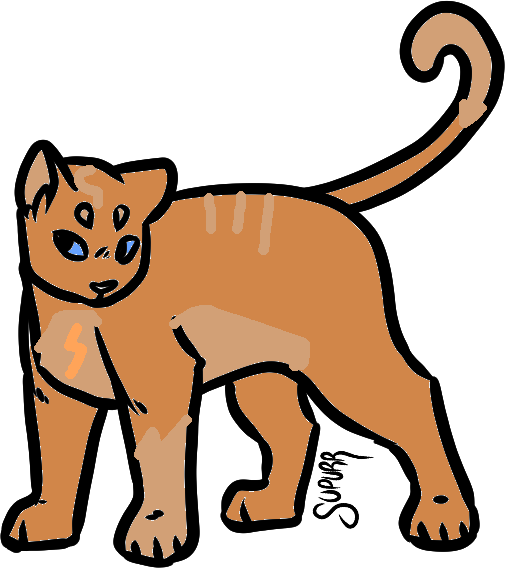 LightningPool (medcat) | Warrior Cats Fandom Wiki | Fandom