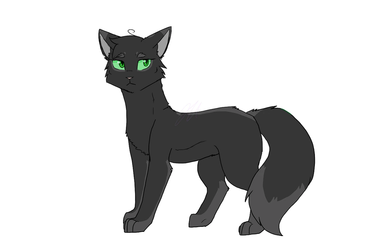 Nightpelt | Warrior Cats Fandom Wiki | Fandom