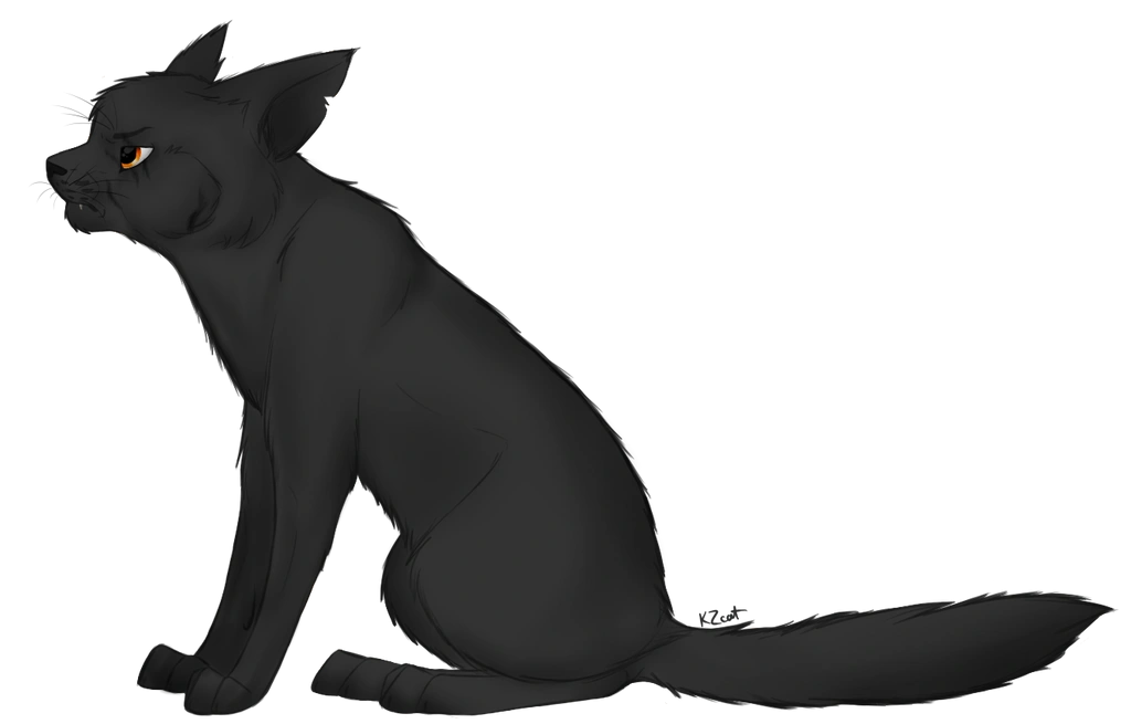 Swiftstream | Warrior Cats Fandom Wiki | Fandom