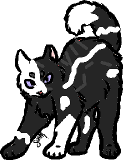 Checkerdheart (DFd) | Warrior Cats Fandom Wiki | Fandom